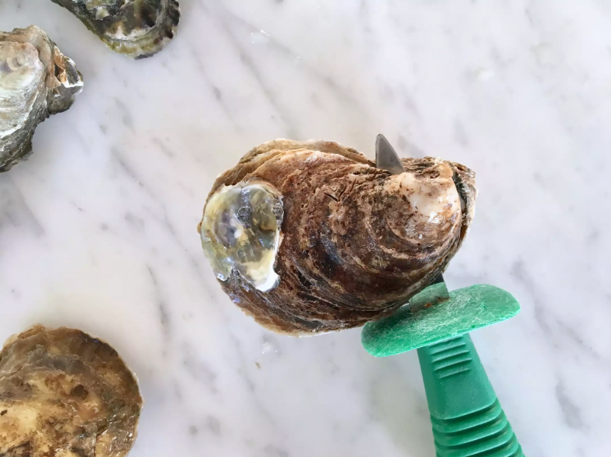 HOW TO SHUCK AN OYSTER – Pacific Fresh Fish